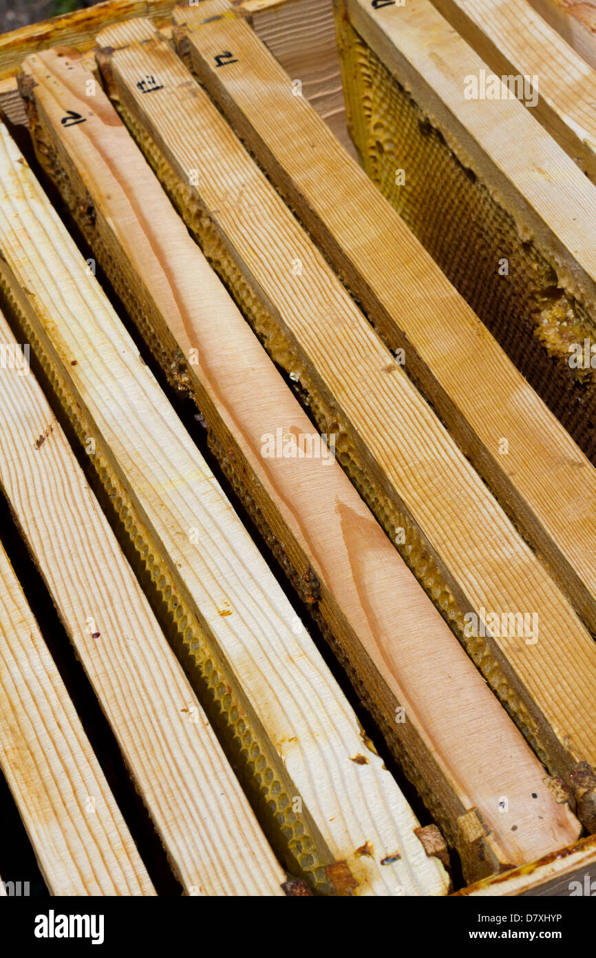 Installation of bee hives at new location Stock Photo - Alamy