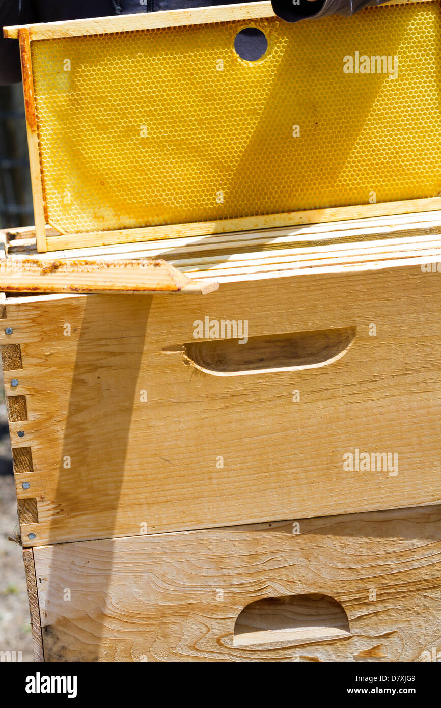 Honeycomb art installation hi-res stock photography and images - Alamy