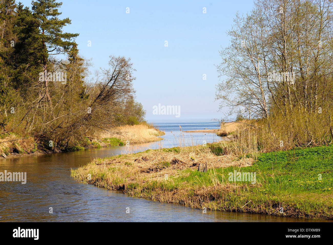 Mouth of the river Selja, Estonia Stock Photo - Alamy