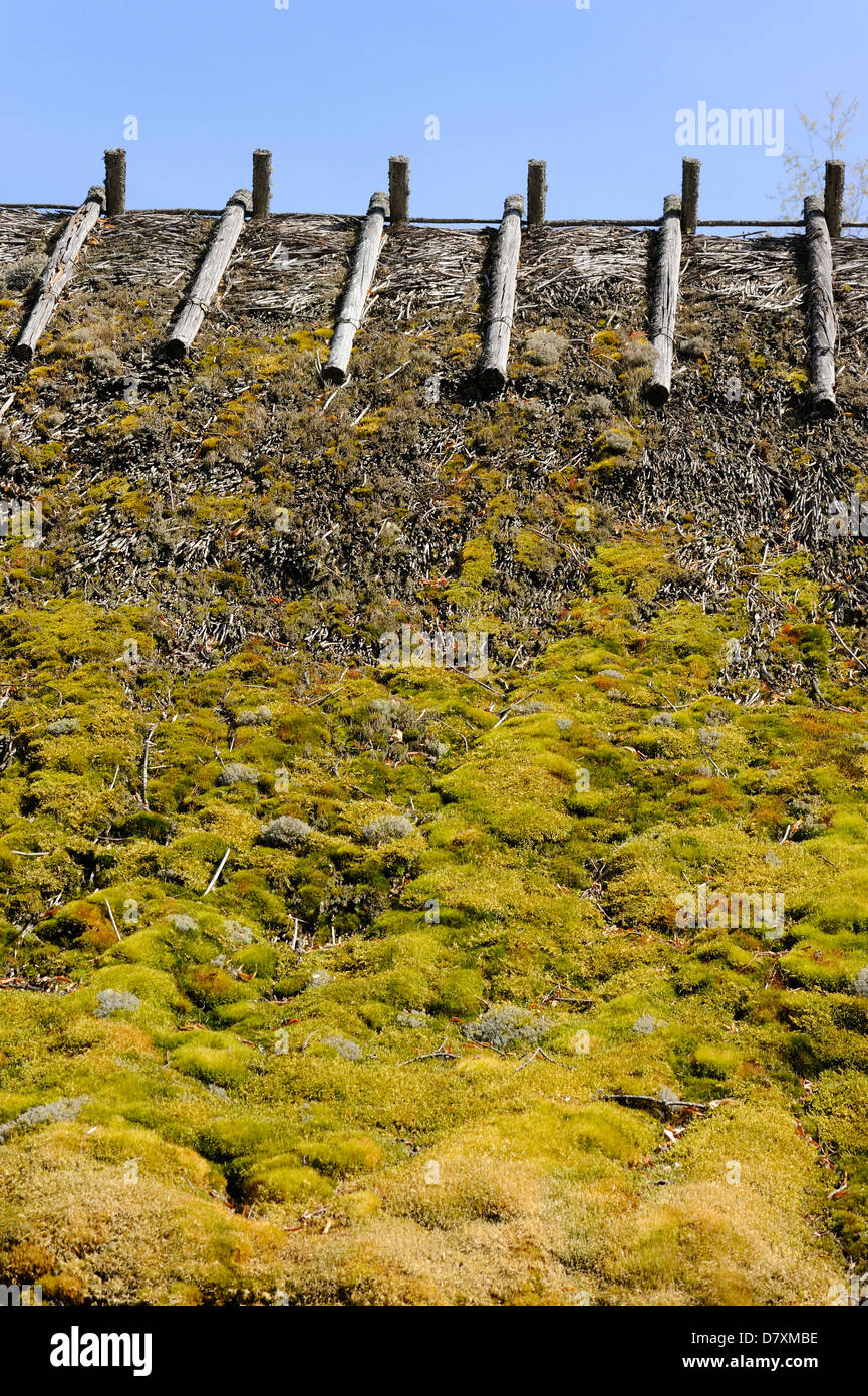 Cane roof hi-res stock photography and images - Alamy