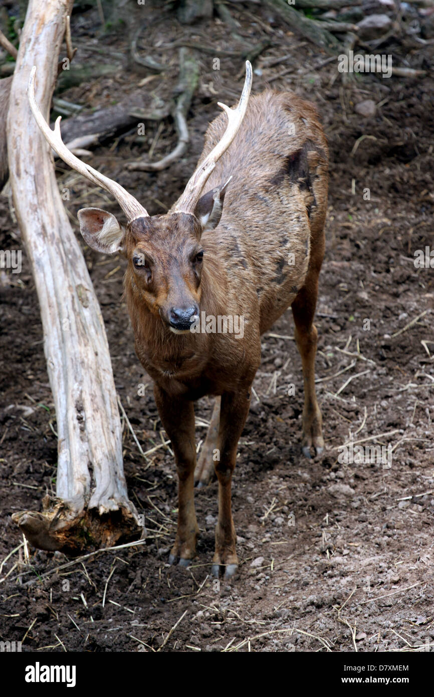 Great interest hi-res stock photography and images - Alamy