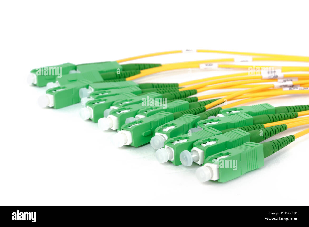 green fiber optic SC connectors on white background Stock Photo - Alamy