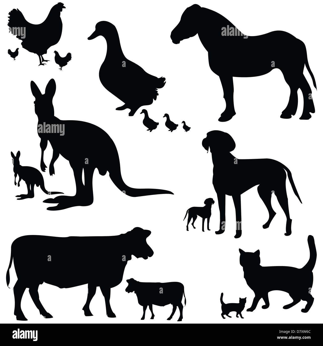 Big collection of animals Stock Photo - Alamy