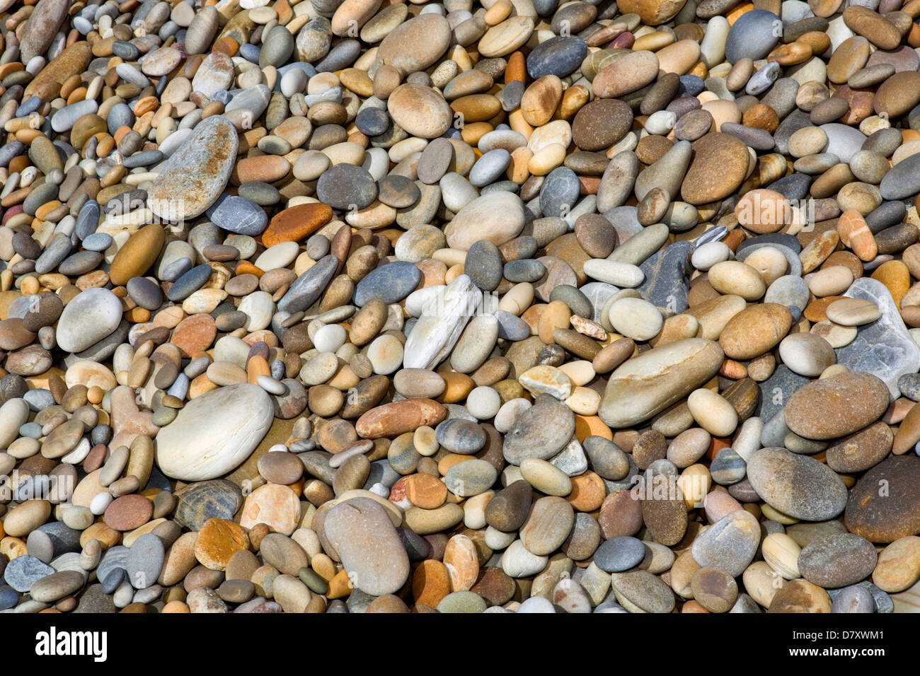 colorful pebble stone background, at the beach Stock Photo - Alamy