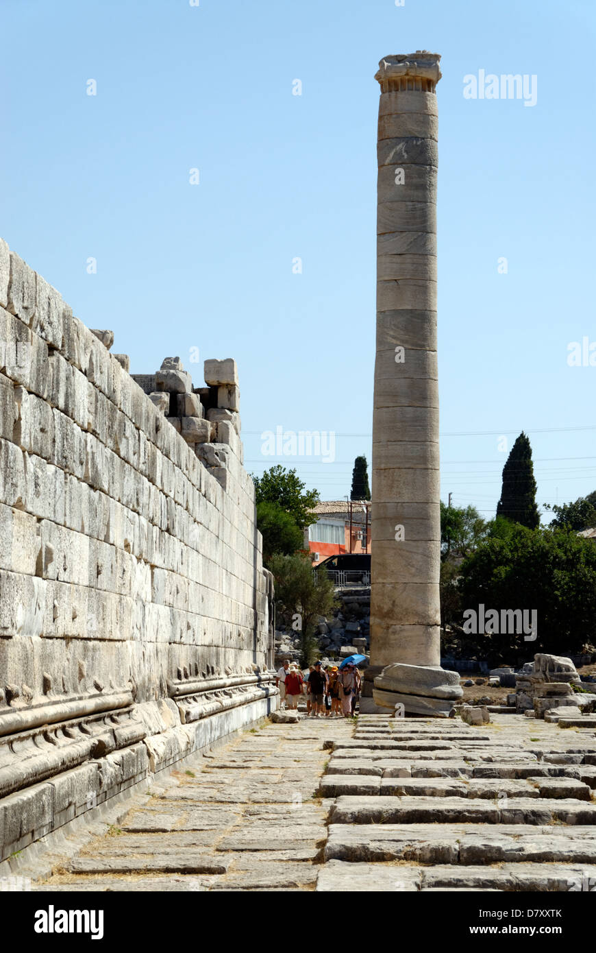 Didyma. Turkey. The massive south walls and an unfluted lone column of ...