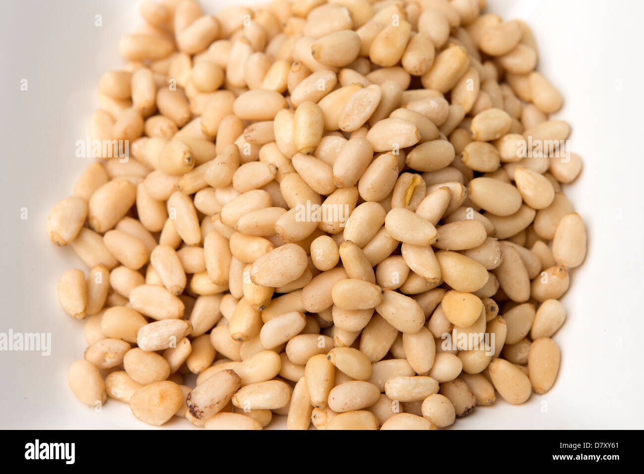 Pinoli pinus pinea hi-res stock photography and images - Alamy