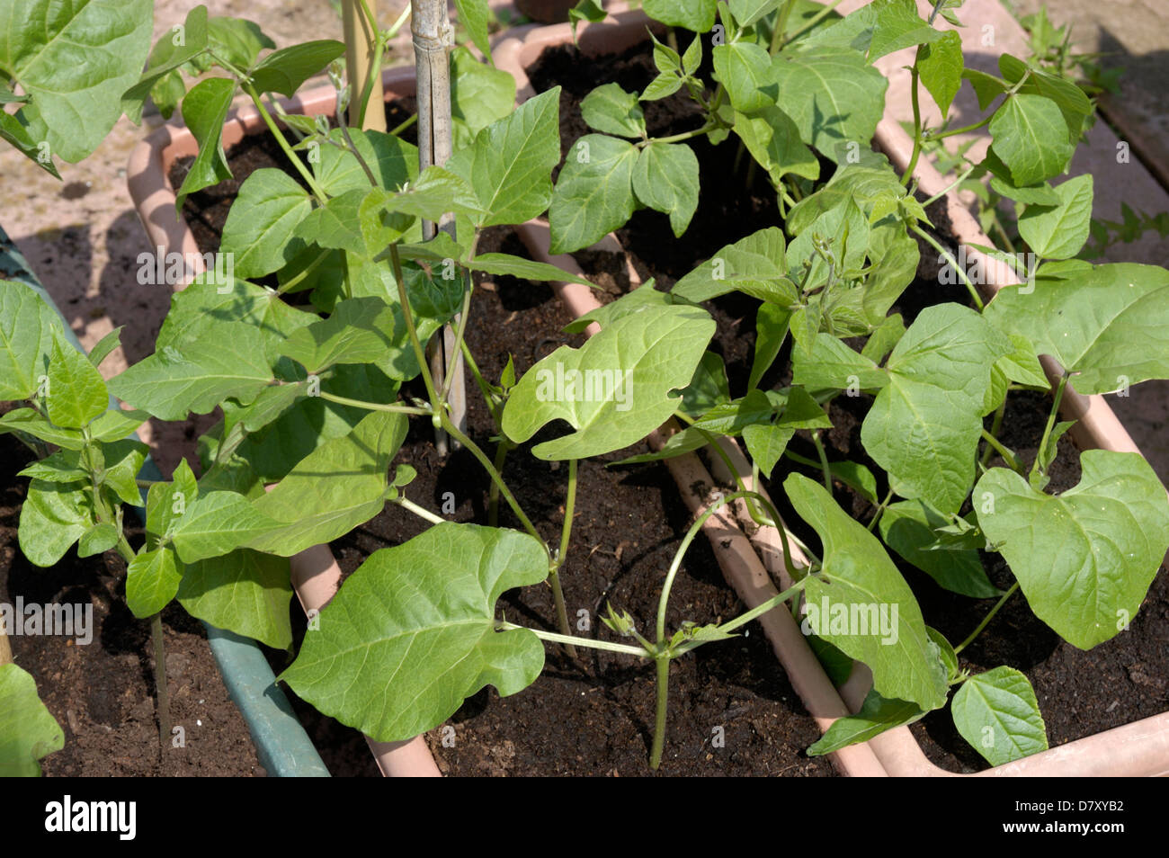 Fibre containers hi-res stock photography and images - Alamy