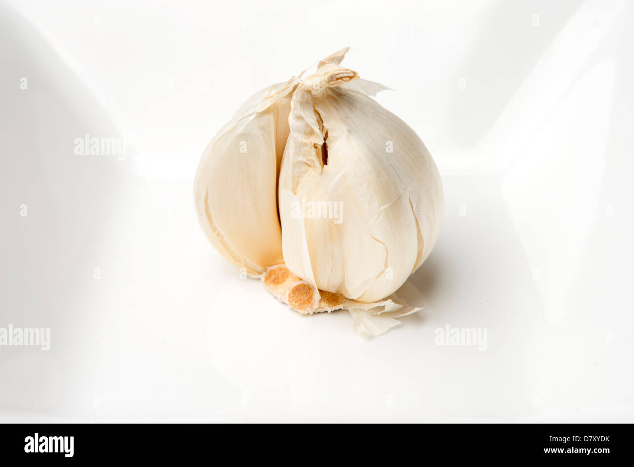 Garlic bulb and clove of garlic hi-res stock photography and images - Alamy