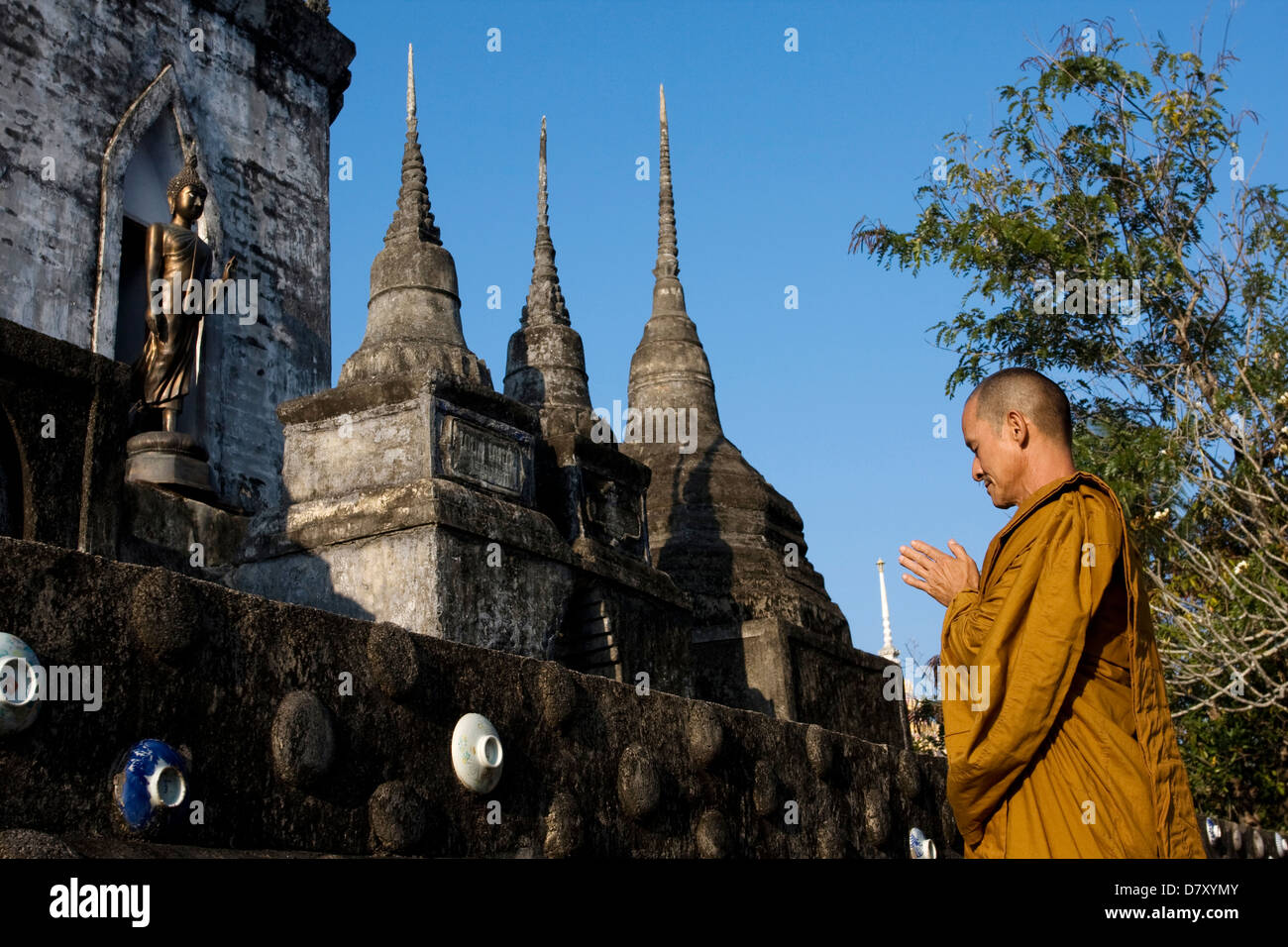 Coconut monk hi-res stock photography and images - Alamy