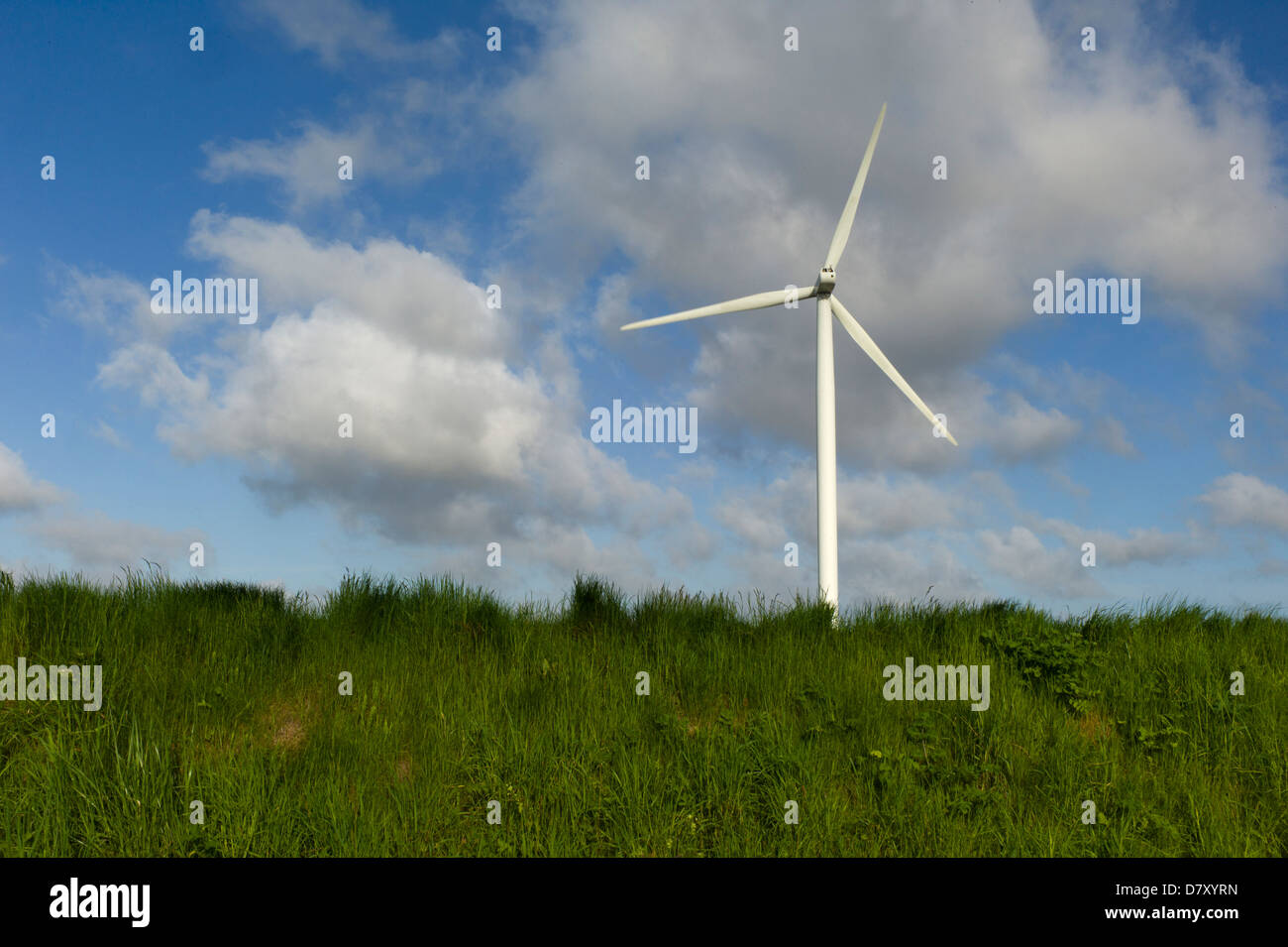 Wind turbine over grassy bank, Normandy, France Stock Photo - Alamy