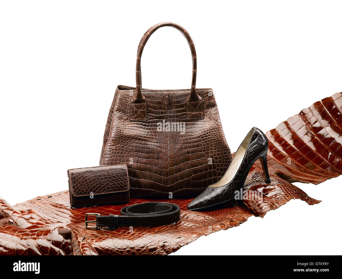 Fashion products for women which made of crocodile leather Stock Photo ...