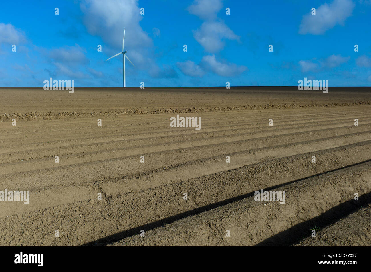 Potato field and wind turbine, Normandy, France Stock Photo - Alamy