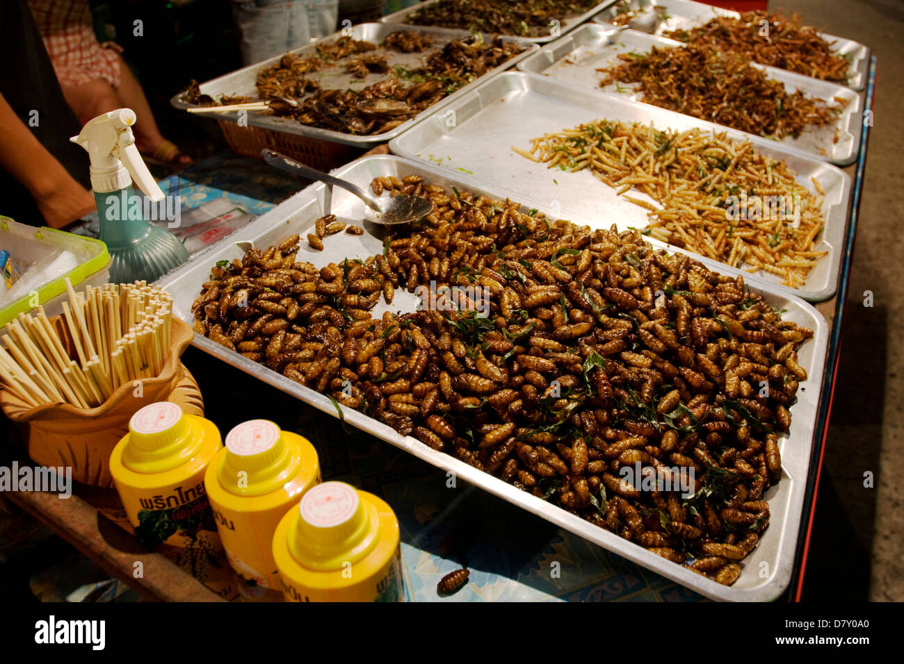 An insect stall at a fair in Thong Sala, Ko Phangan's main population ...