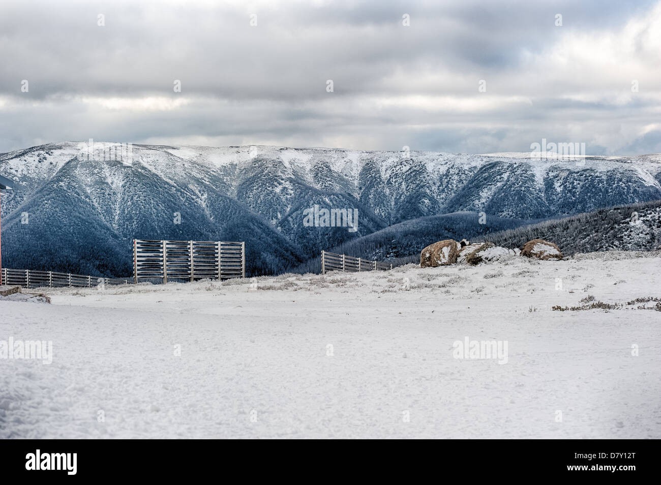 Snow-covered alpine landscape at Falls Creek in the Victorian Alps ...