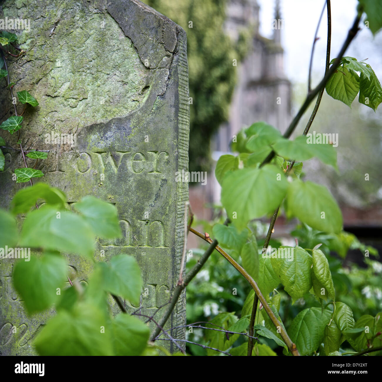 Overgrown gravestone in graveyard Stock Photo - Alamy
