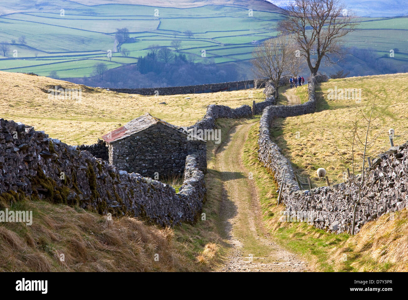 Walkers on lane from Catrigg Force to Stainforth village, Ribblesdale ...