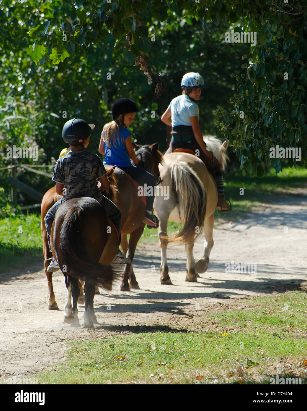 Children enjoying a pony treck Stock Photo - Alamy