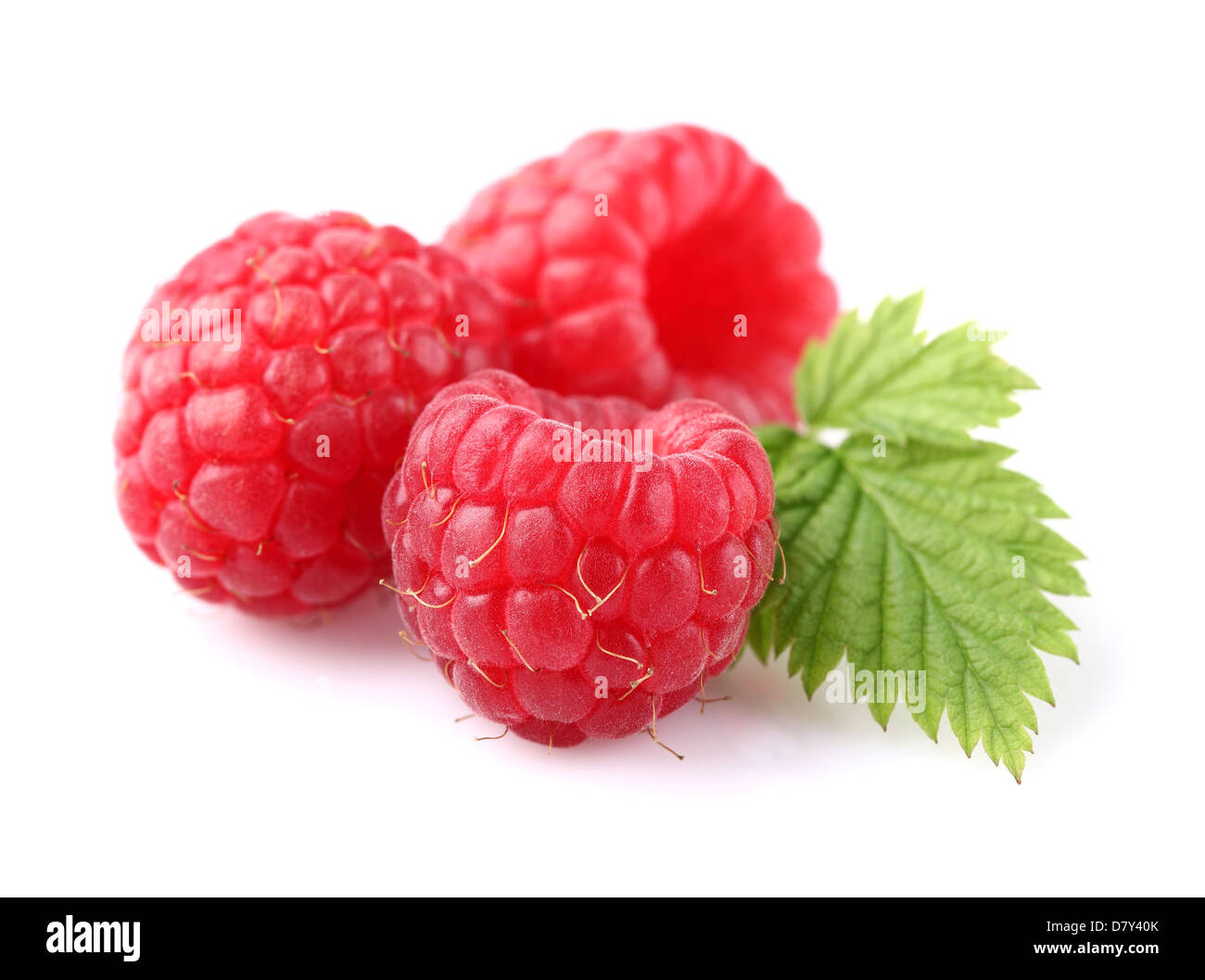 Raspberry with leaf Stock Photo - Alamy