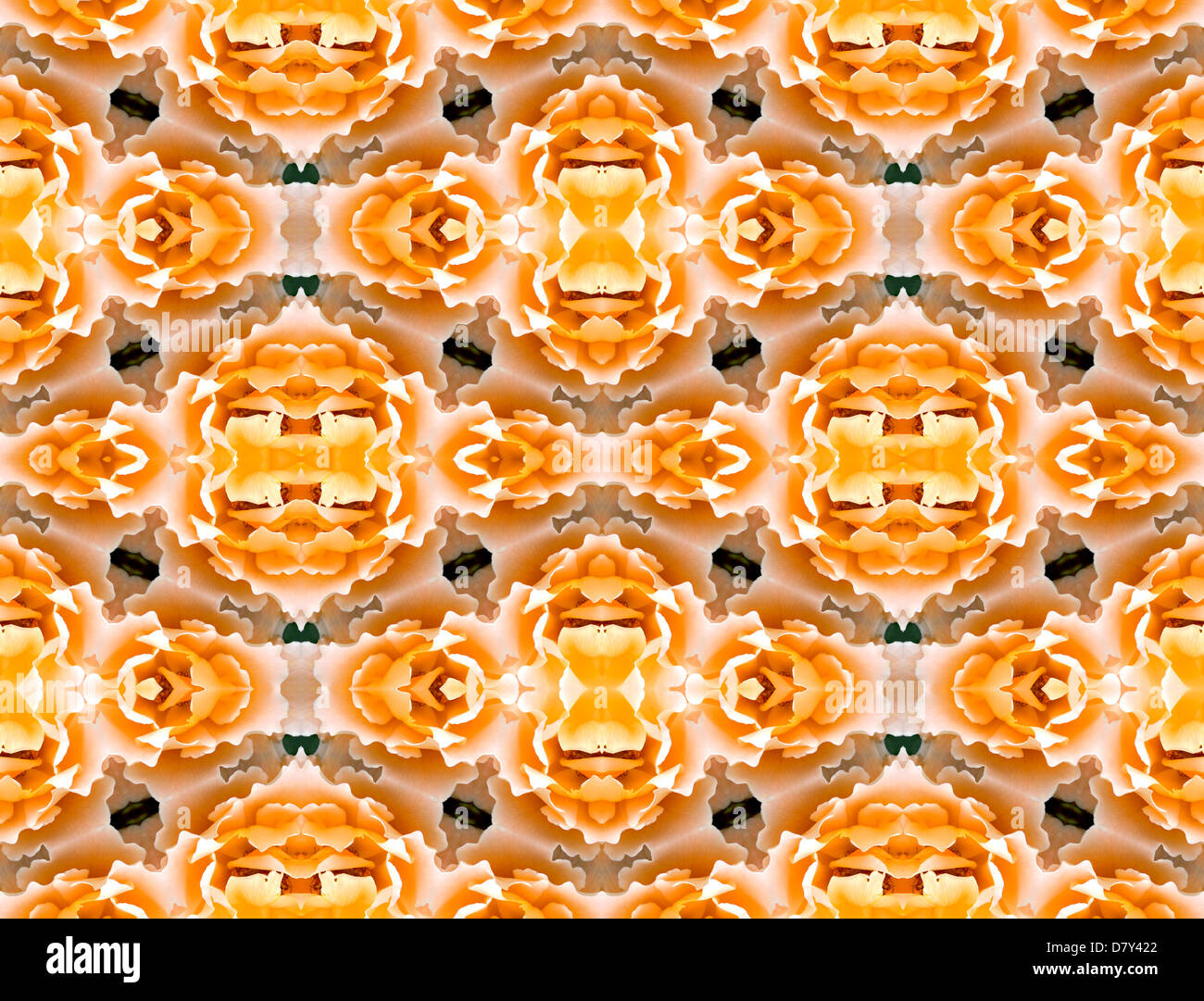 Repeated pattern made from image of garden rose Stock Photo - Alamy