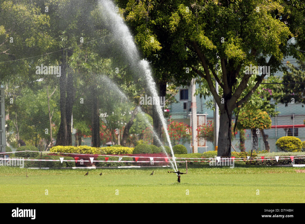 Injection pump hi-res stock photography and images - Alamy
