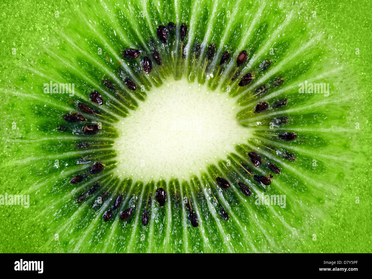 Close Up Fruit Photography