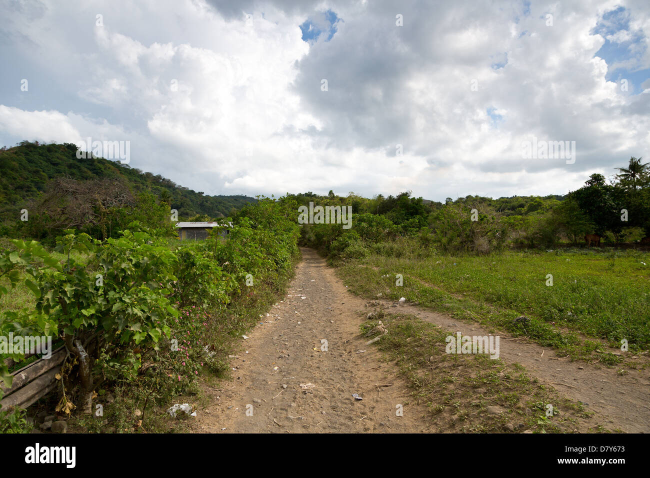 Path uphill to the Volcano Taal in the Philippines Stock Photo - Alamy