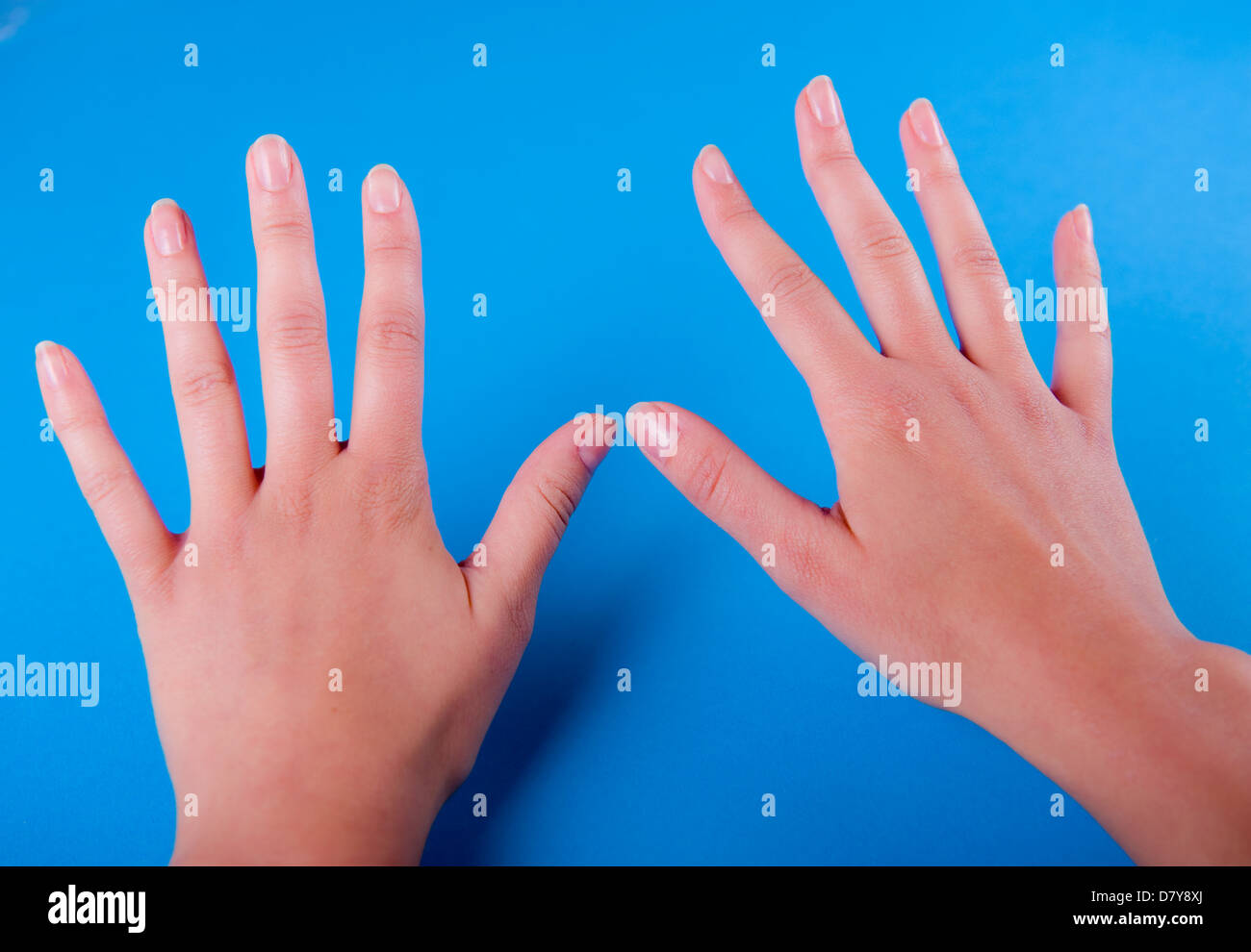 Elevated view of a young woman's hands against a blue background Stock ...