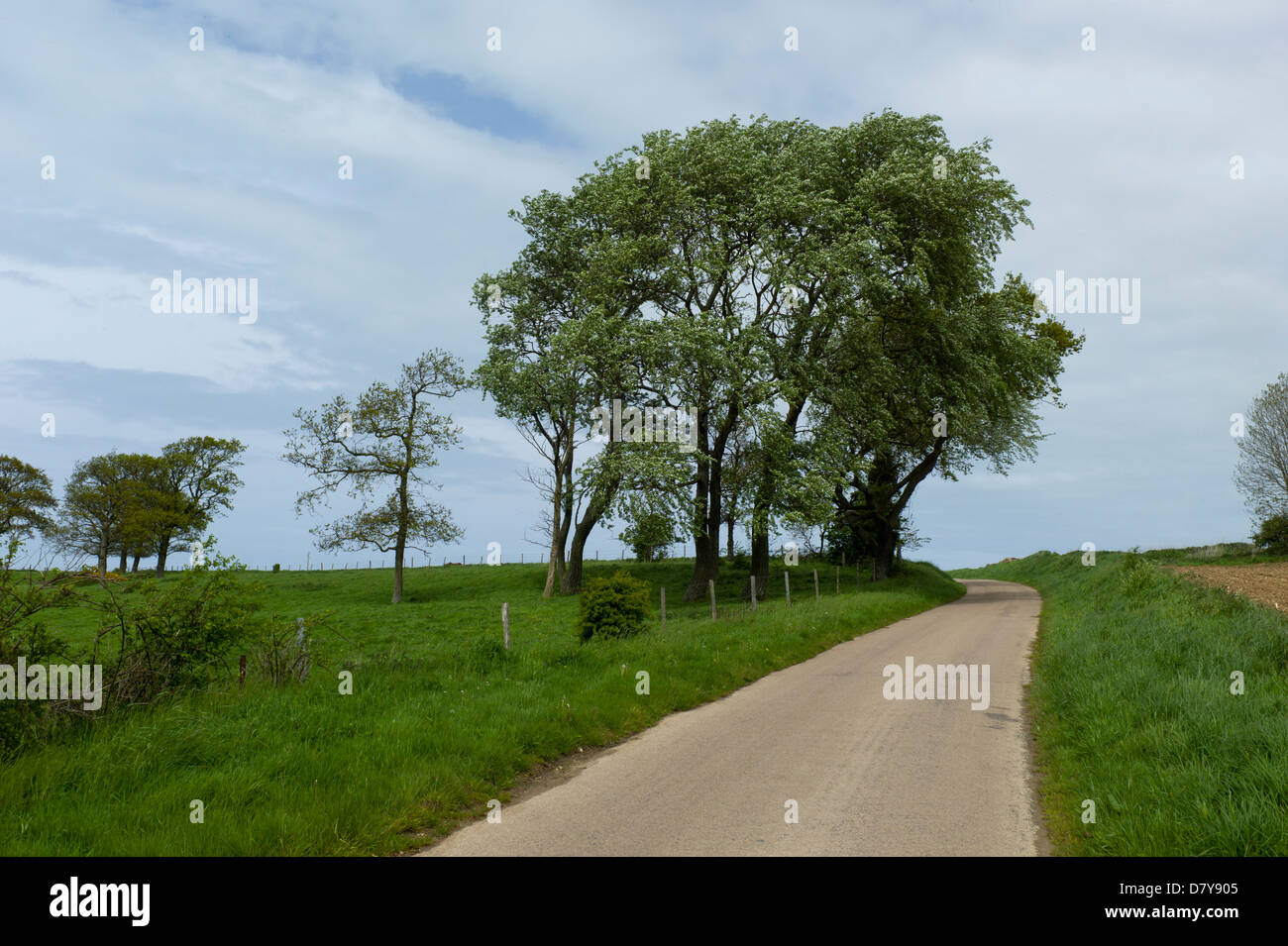 Small country road between La Chapelle sur Dun and St Aubin sur Mer ...