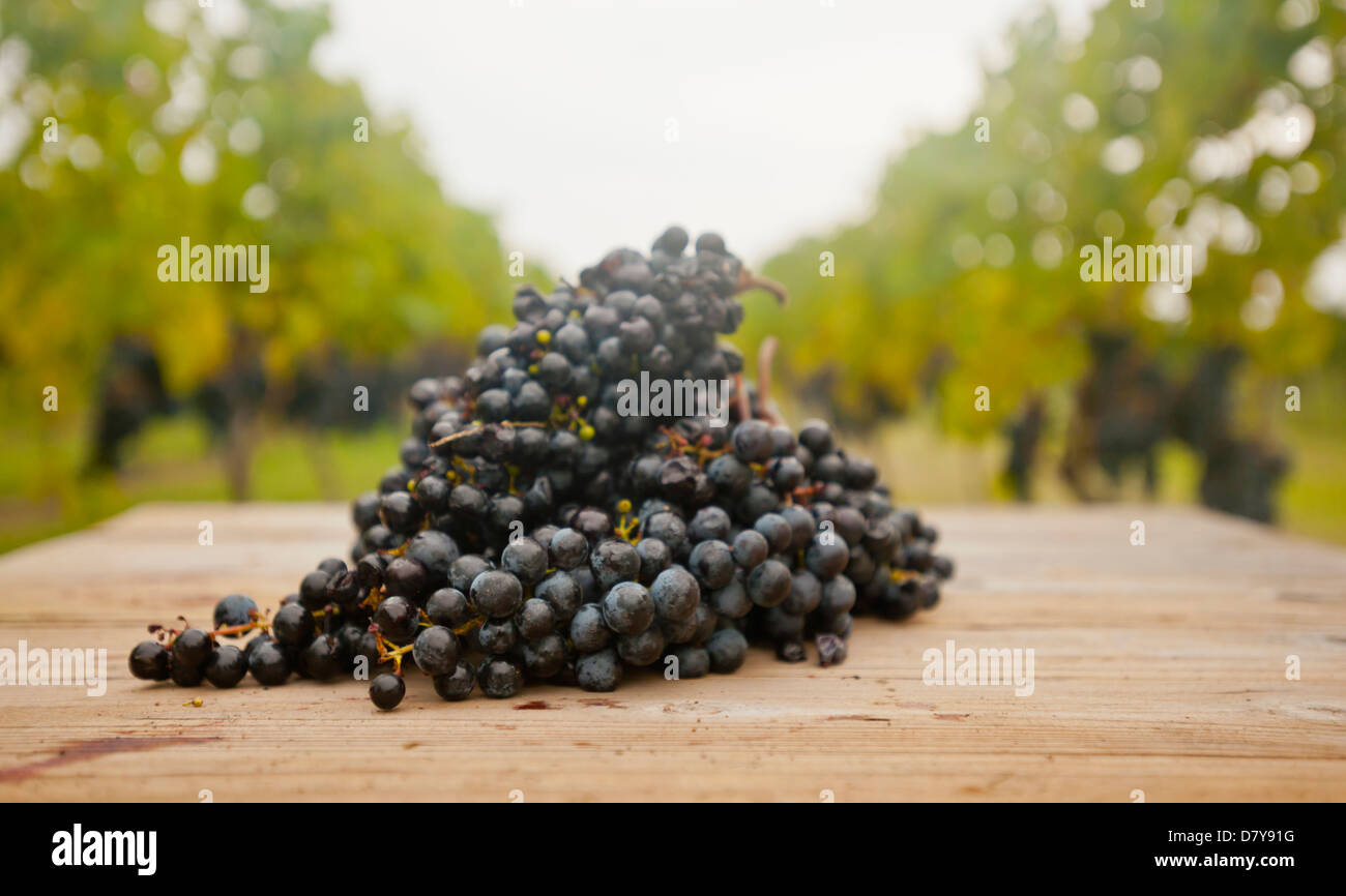 Grapes on table outdoors Stock Photo - Alamy