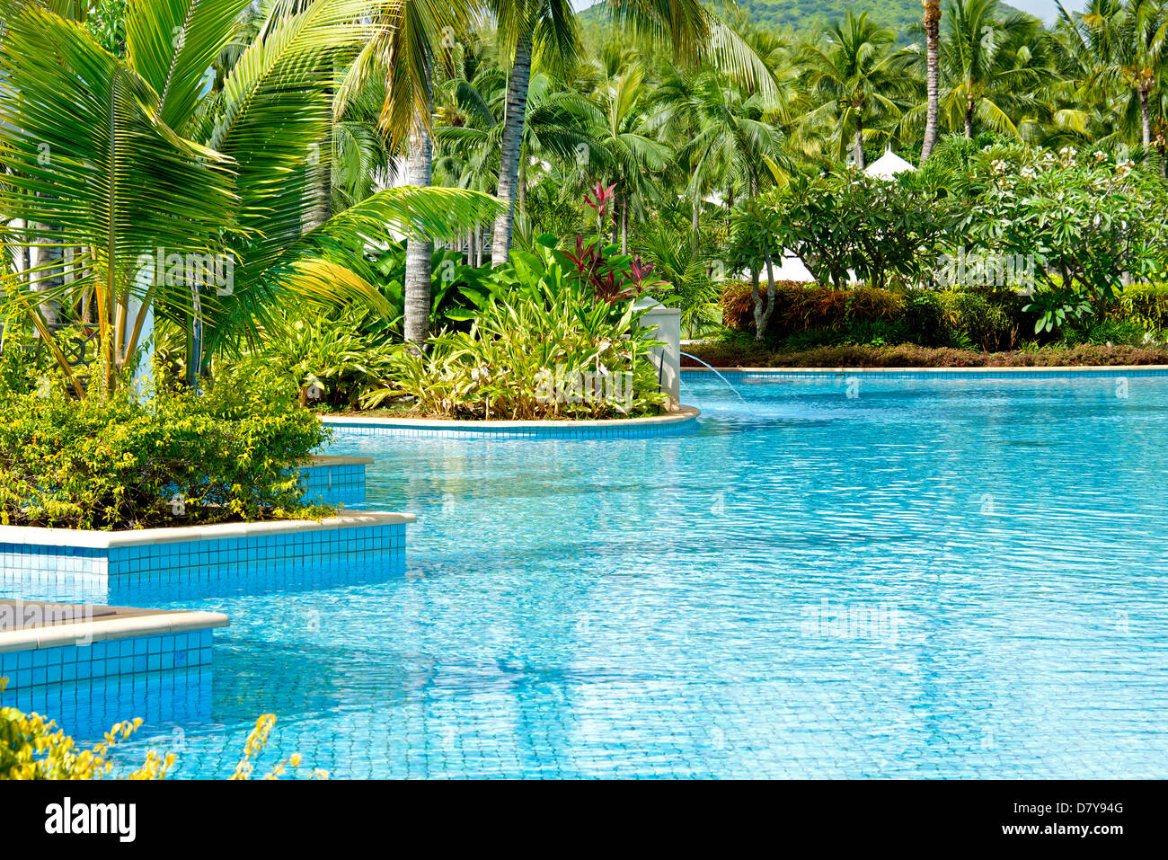 Beautiful swimming pool with morning sun in the tropics Stock Photo - Alamy