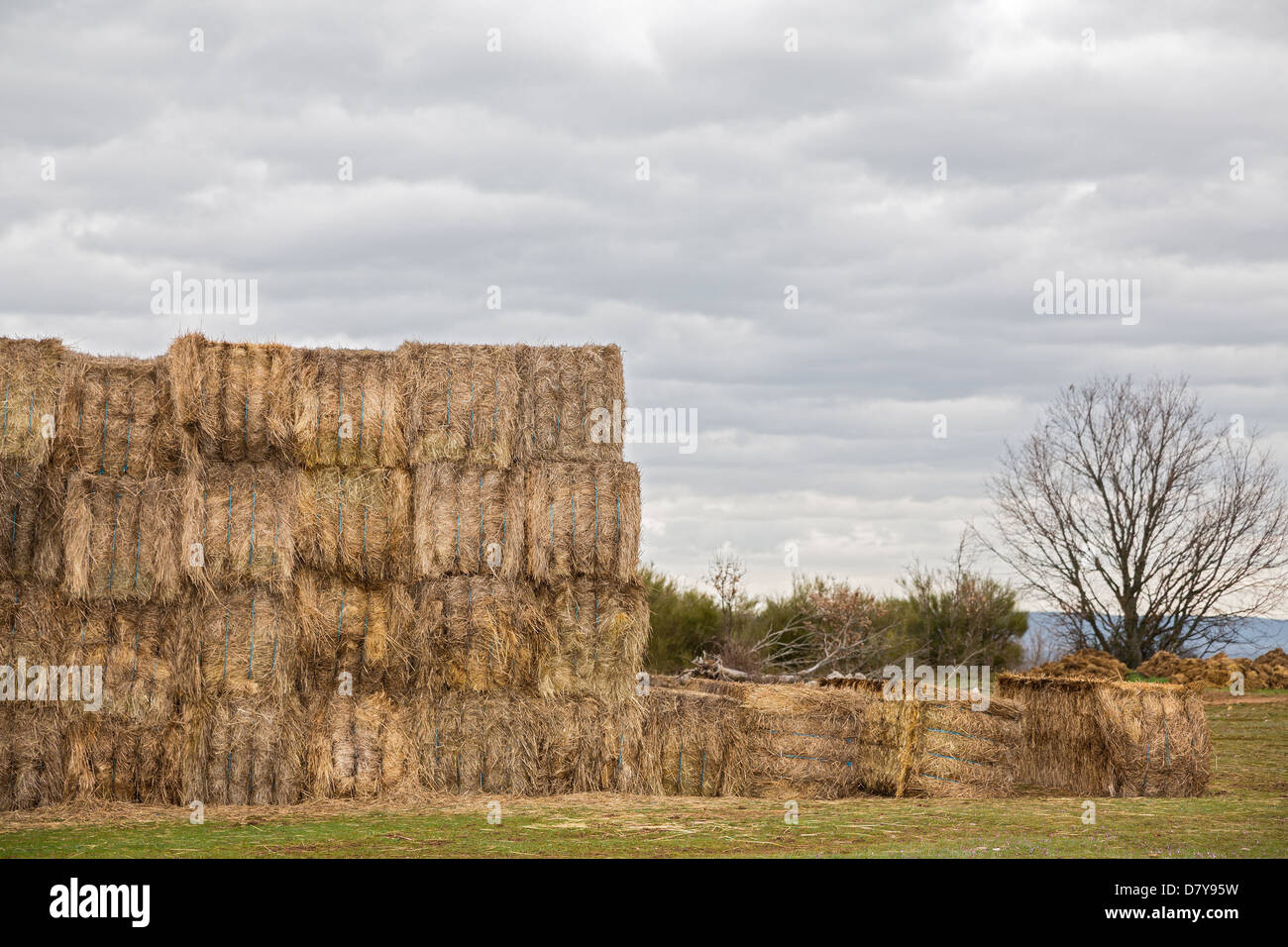 Rotten Straw High Resolution Stock Photography and Images - Alamy