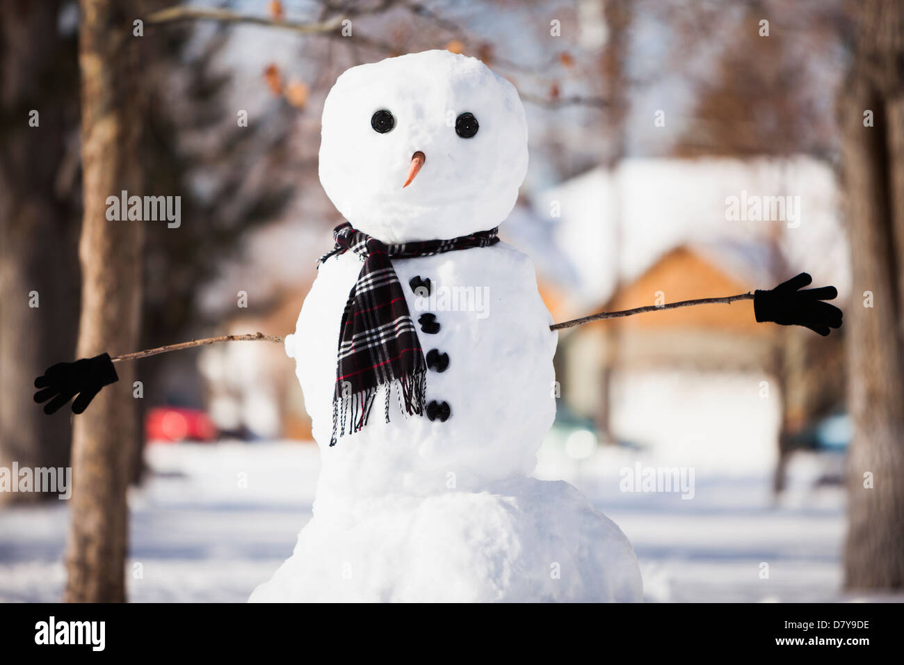 Snowman wearing scarf outdoors Stock Photo - Alamy