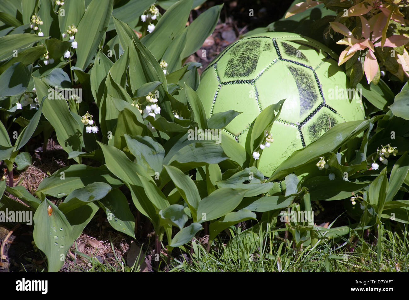 Ball in garden Stock Photo - Alamy
