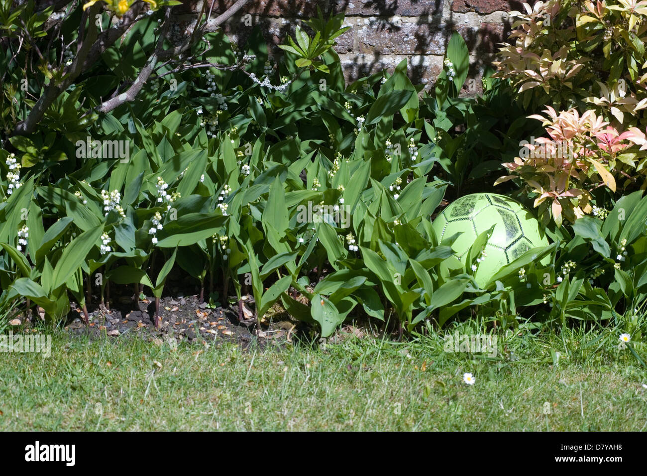 Ball in garden Stock Photo - Alamy