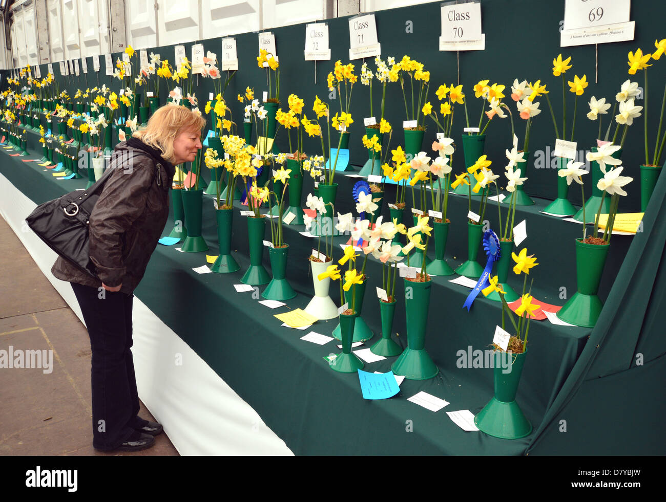 Woman smelling flower floral flowers hi-res stock photography and ...