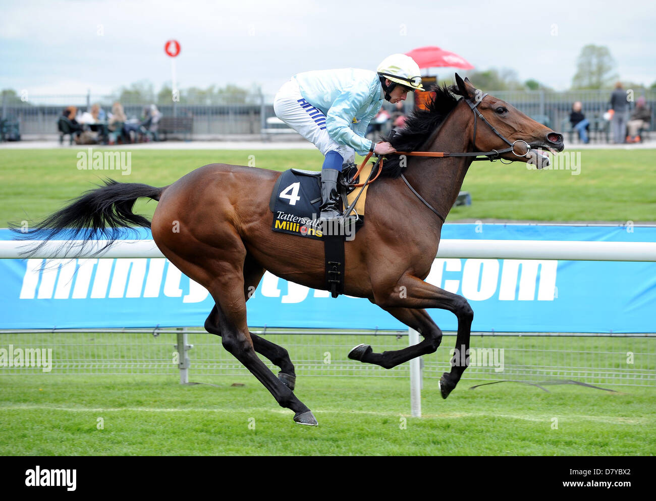 Tattersalls musidora hi-res stock photography and images - Alamy