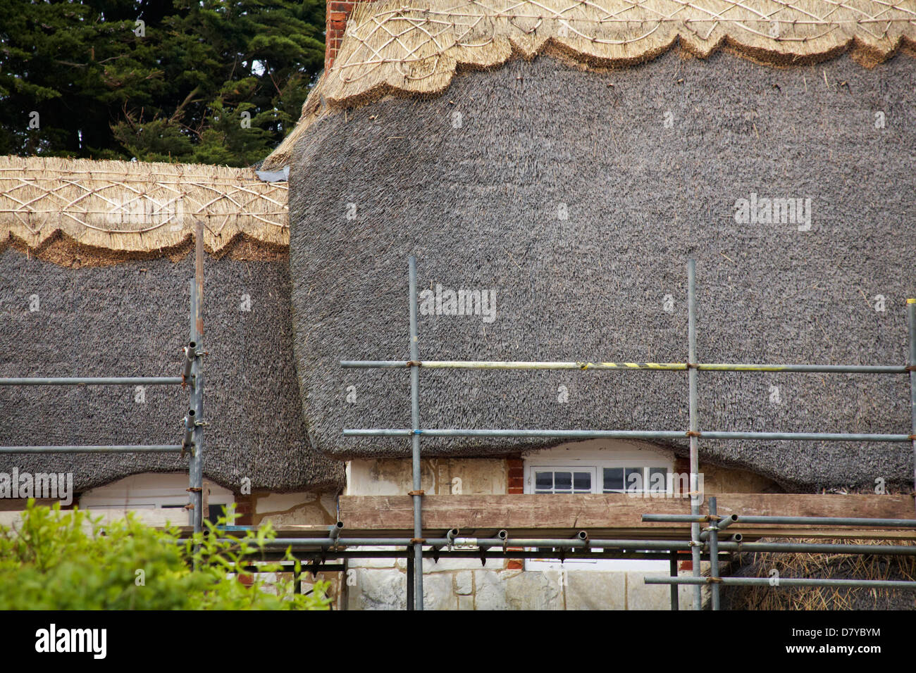 Thatch process hi-res stock photography and images - Alamy