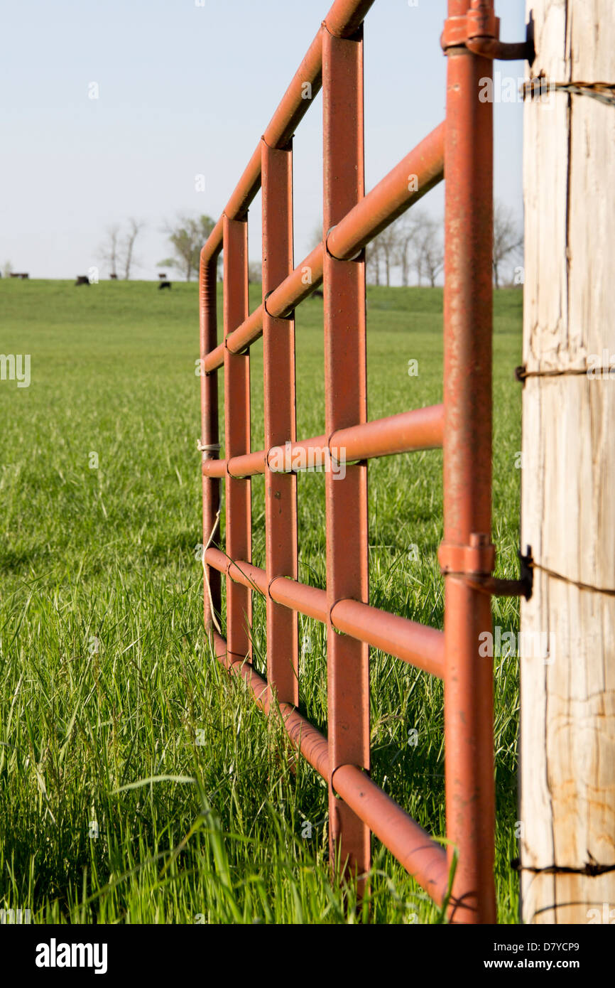 Opening into a field hi-res stock photography and images - Alamy