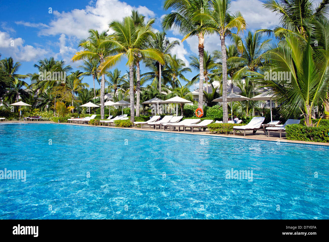 A swimming pool in a tropical setting Stock Photo - Alamy