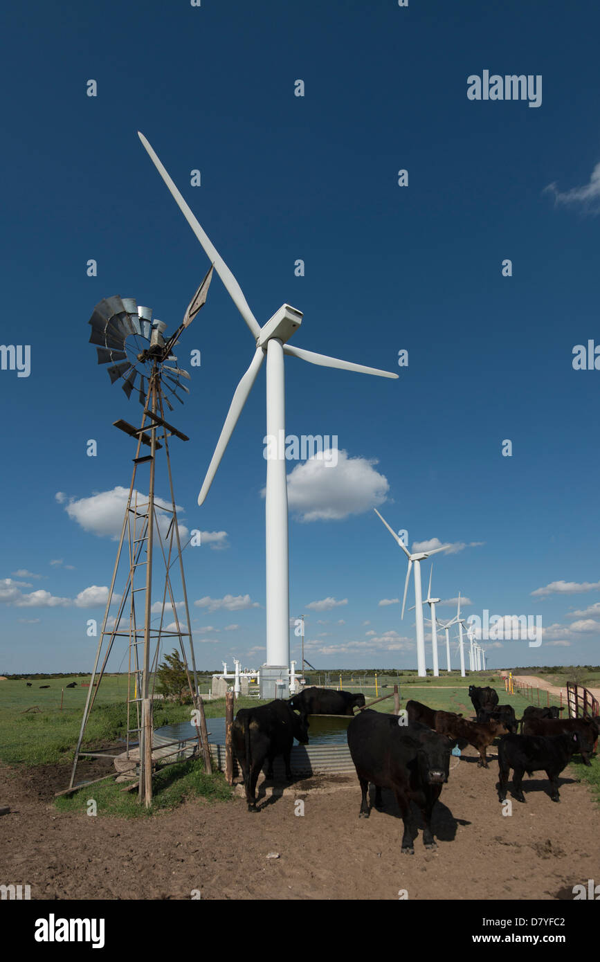 Angus cattle at a water trough near an electric power generating ...