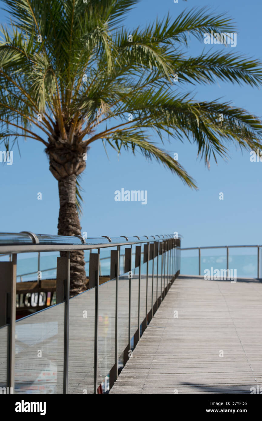 Boardwalk palm tree hi-res stock photography and images - Alamy