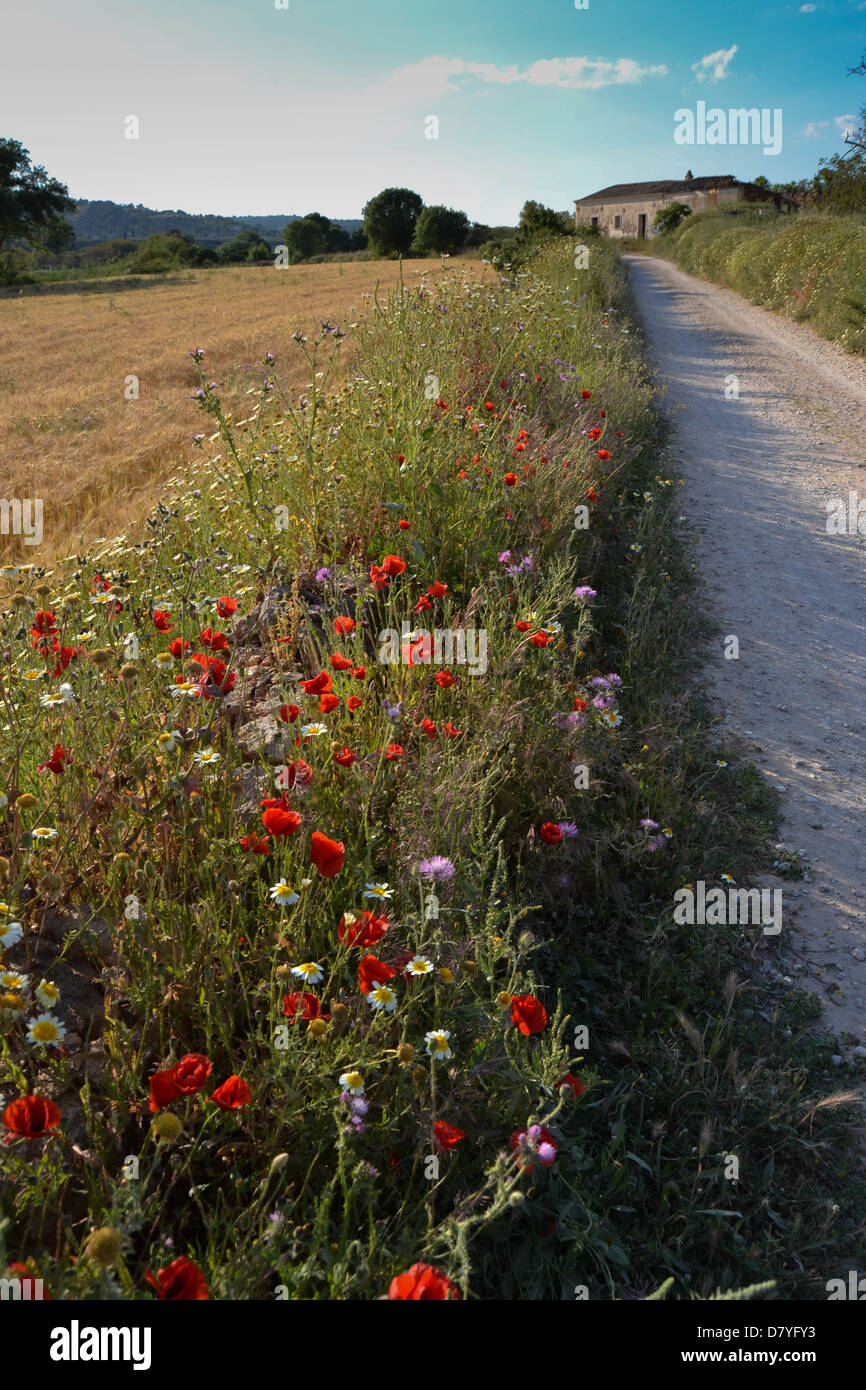 Old dirt road hi-res stock photography and images - Alamy