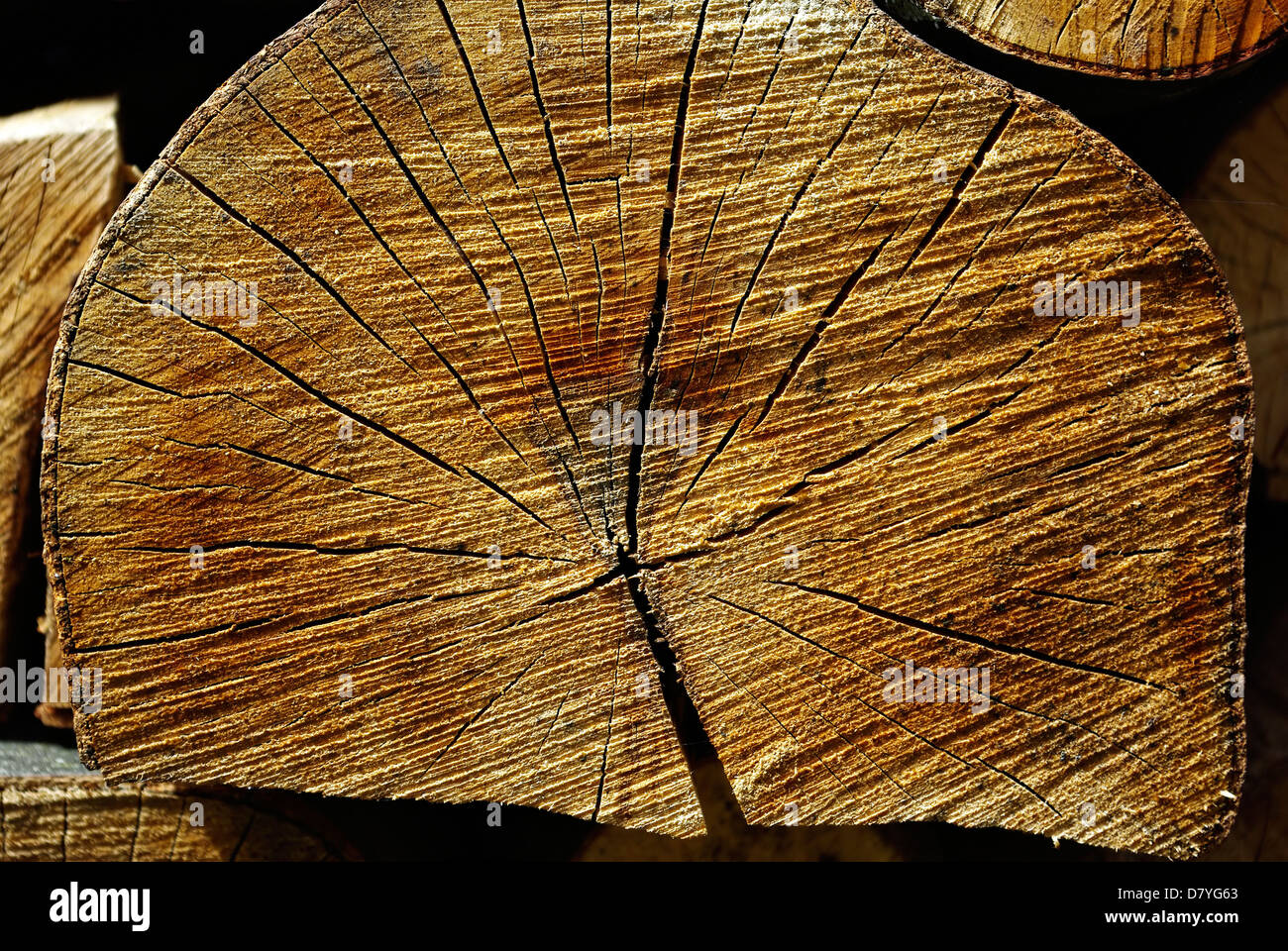 Stacked raw logs, ready for transport and processing in wood industry ...