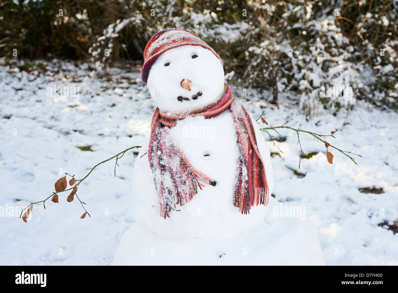 Snowman wearing scarf and hat Stock Photo - Alamy