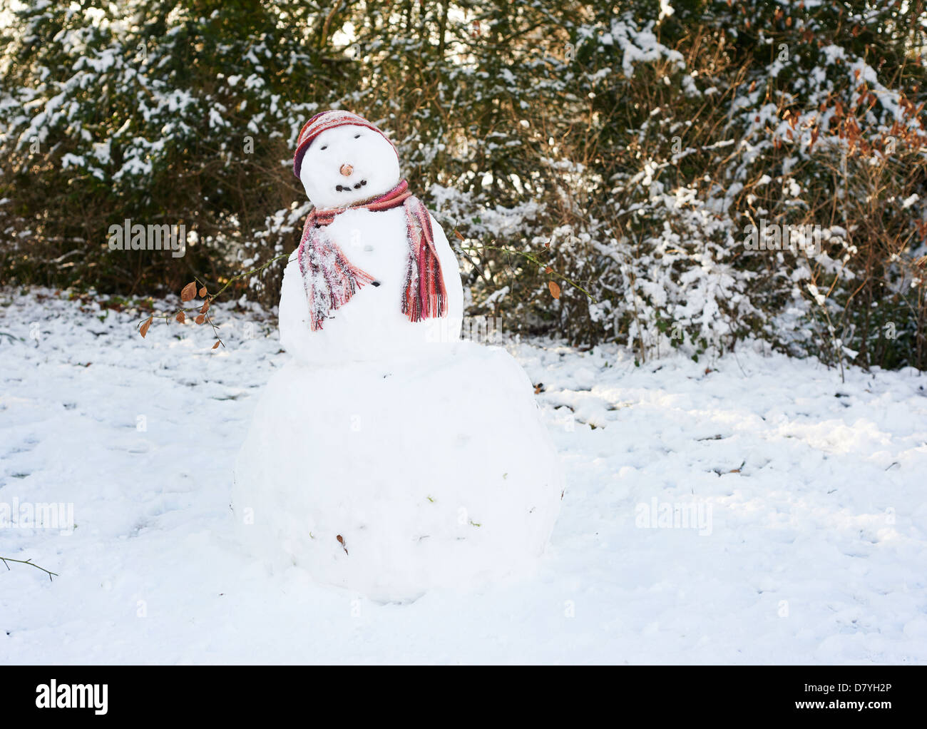 Snowman with hat hi-res stock photography and images - Alamy