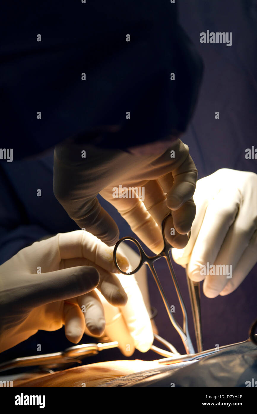 Surgical Intervention Stock Photos & Surgical Intervention Stock Images ...
