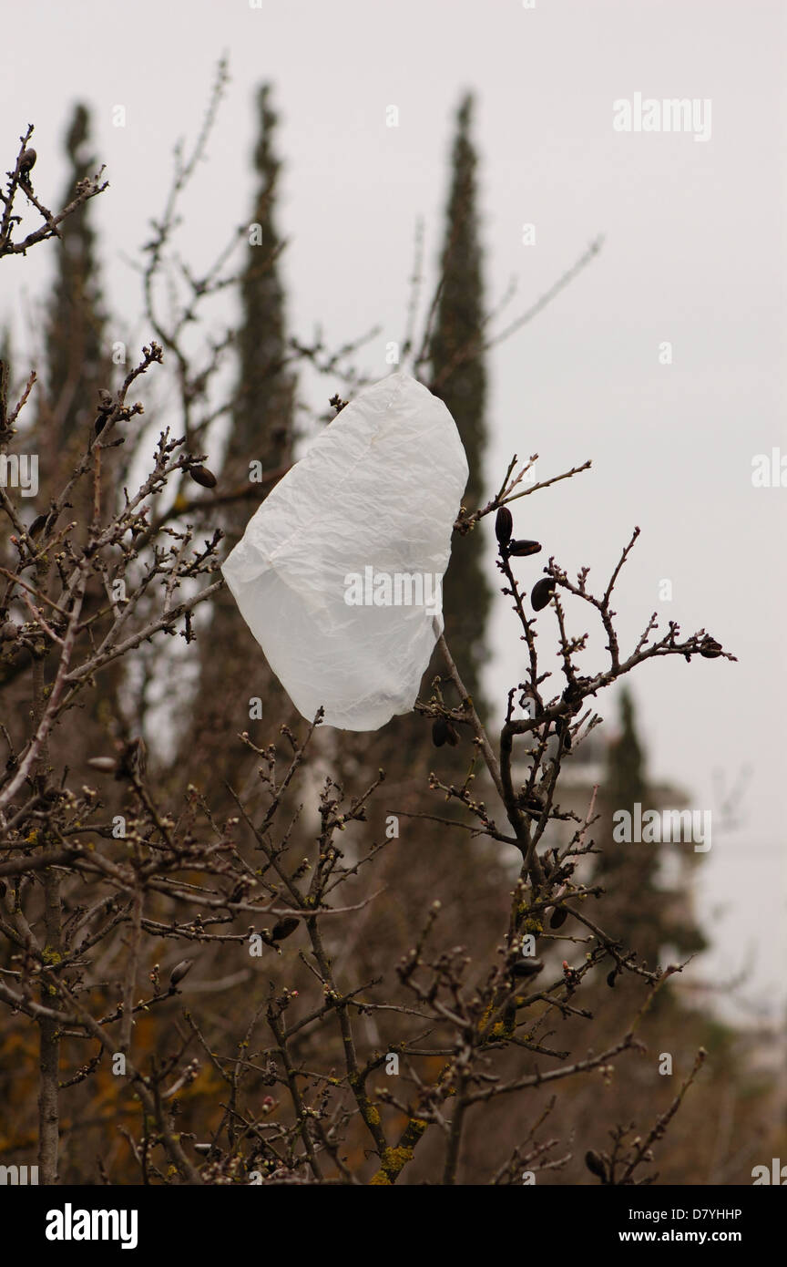 Plastic bag tree hi-res stock photography and images - Alamy