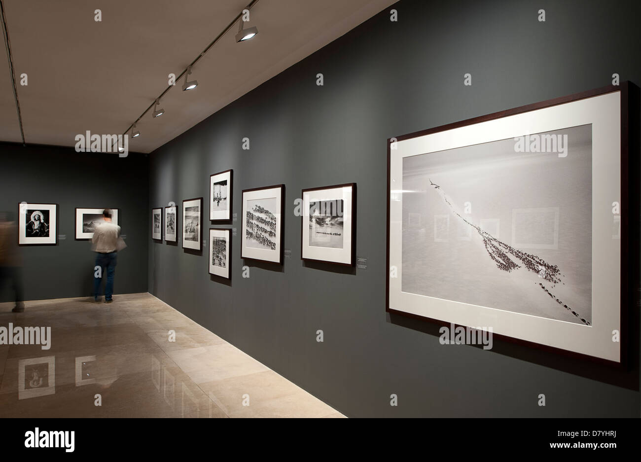 Exhibition "Genesis" of the Brazilian Photographer Sebastiao Salgado ...