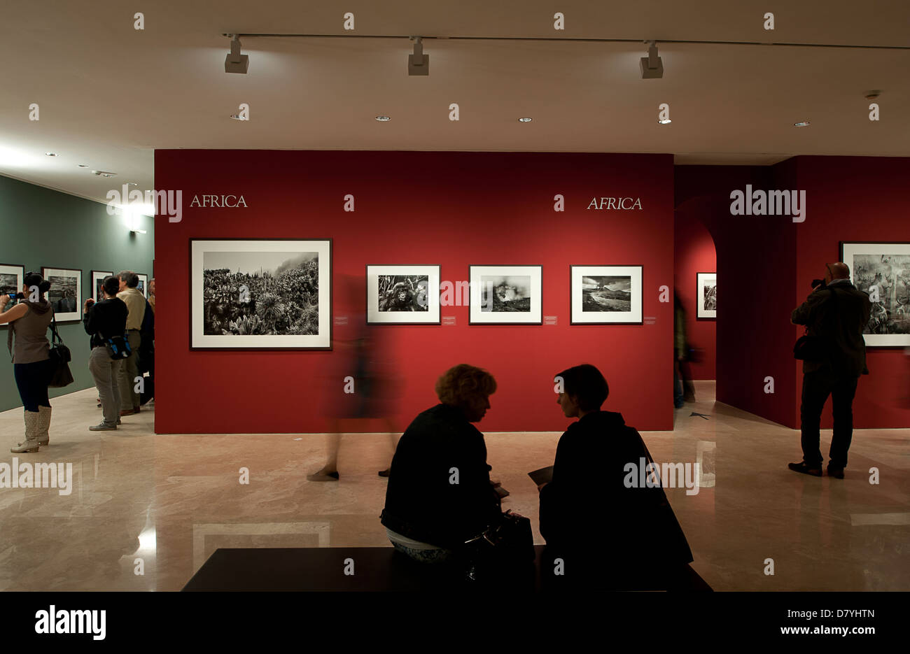 Exhibition "Genesis" of the Brazilian Photographer Sebastiao Salgado ...