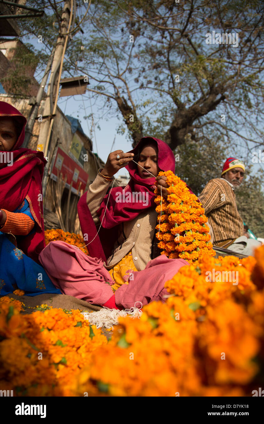 New stringing hi-res stock photography and images - Alamy